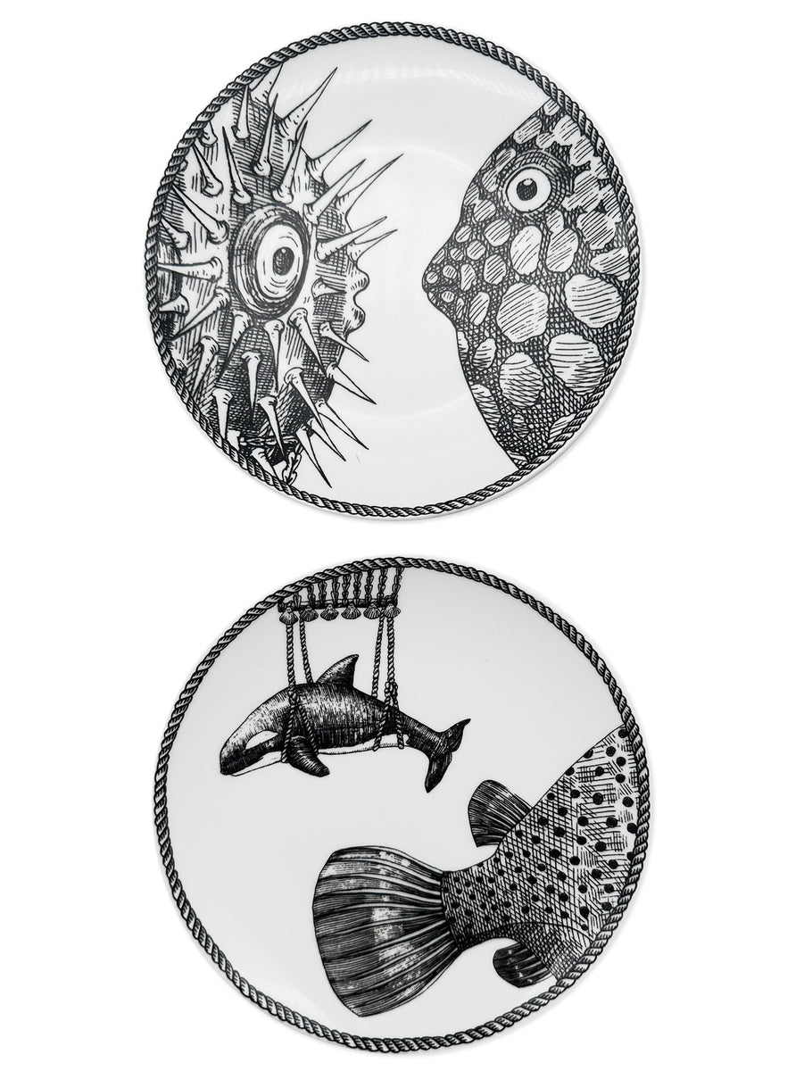 Montgolfier 2x 15cm Orca plates – www.aquaticcreatures.com