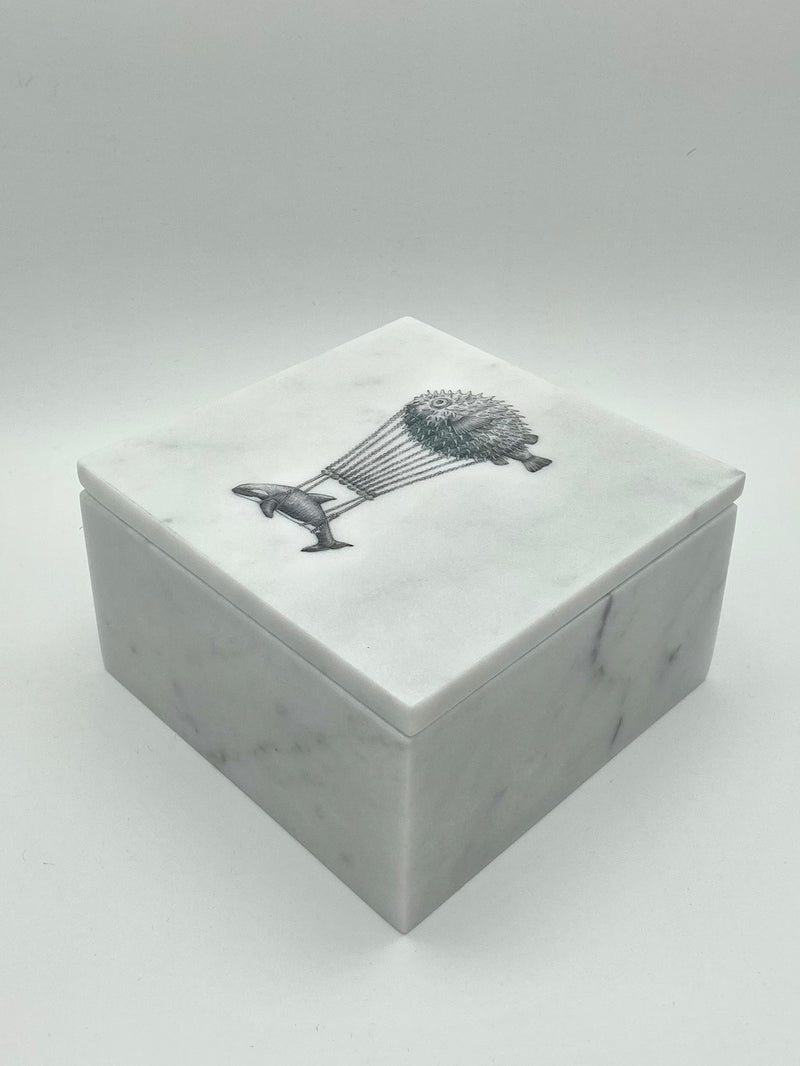 Stone boxes – www.aquaticcreatures.com