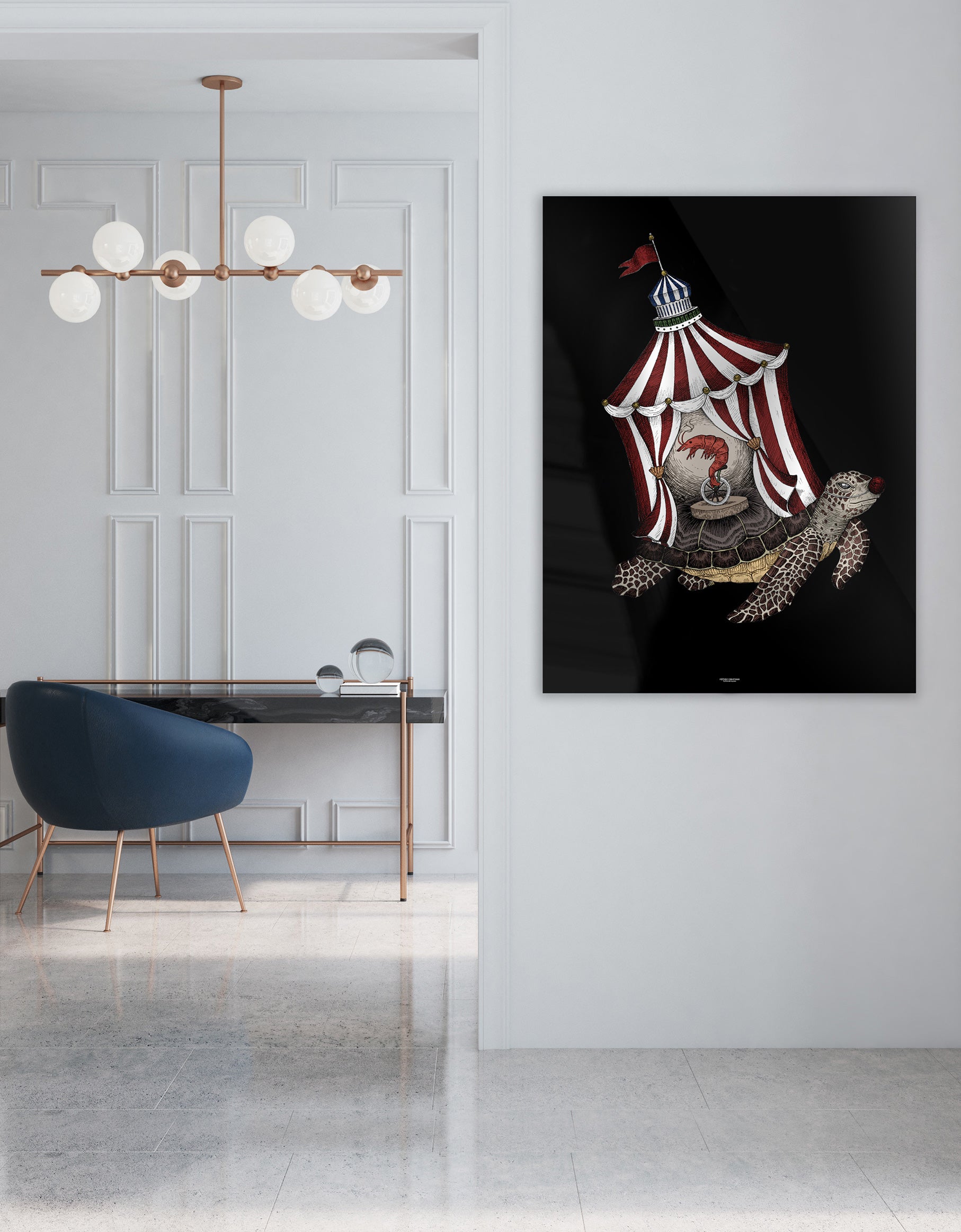 Searcus Collection – www.aquaticcreatures.com