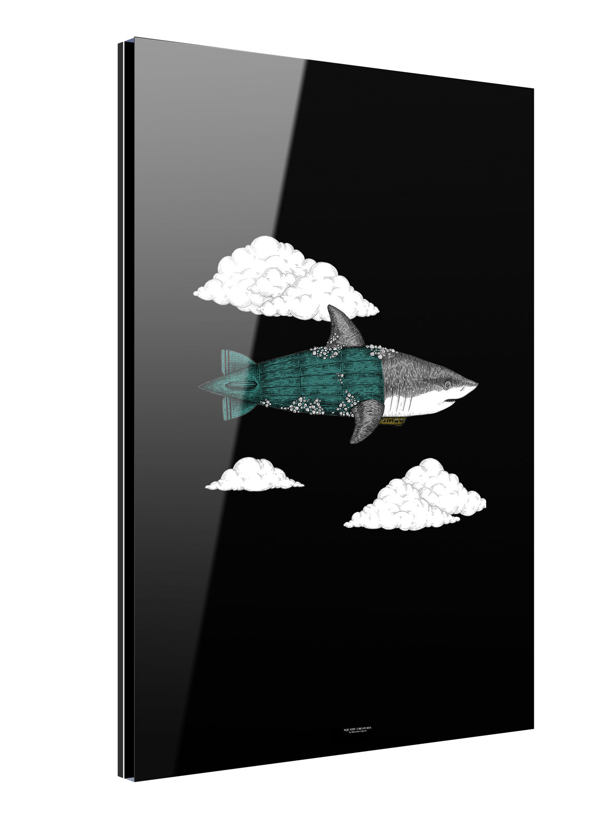 Shark Zeppelin acrylglass – www.aquaticcreatures.com